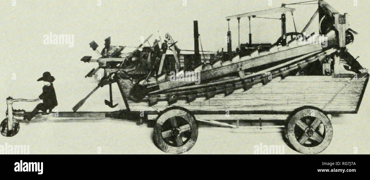 Orukter hi-res stock photography and images - Alamy