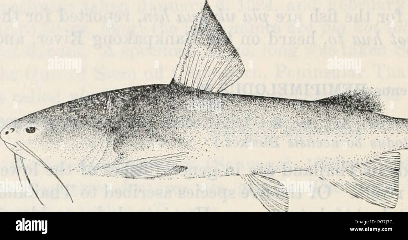 Menam chao phya river hi-res stock photography and images - Alamy