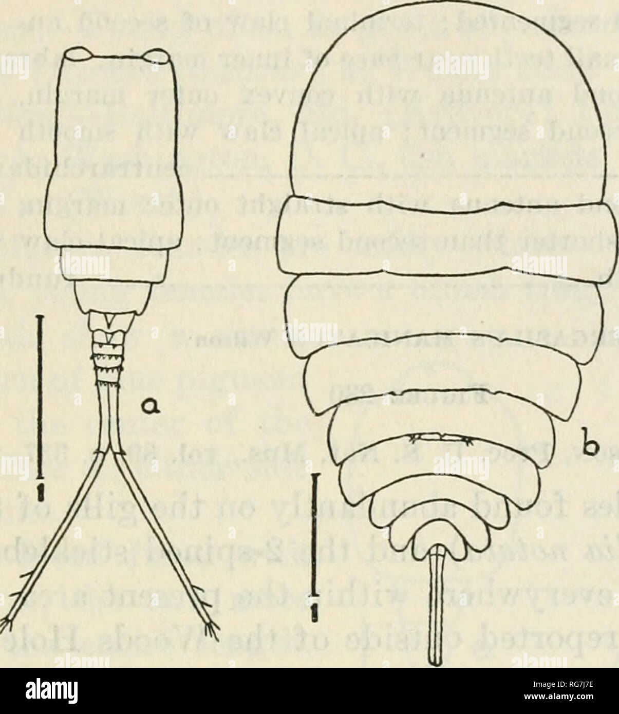. Bulletin - United States National Museum. Science. COPEPODS OF THE ...