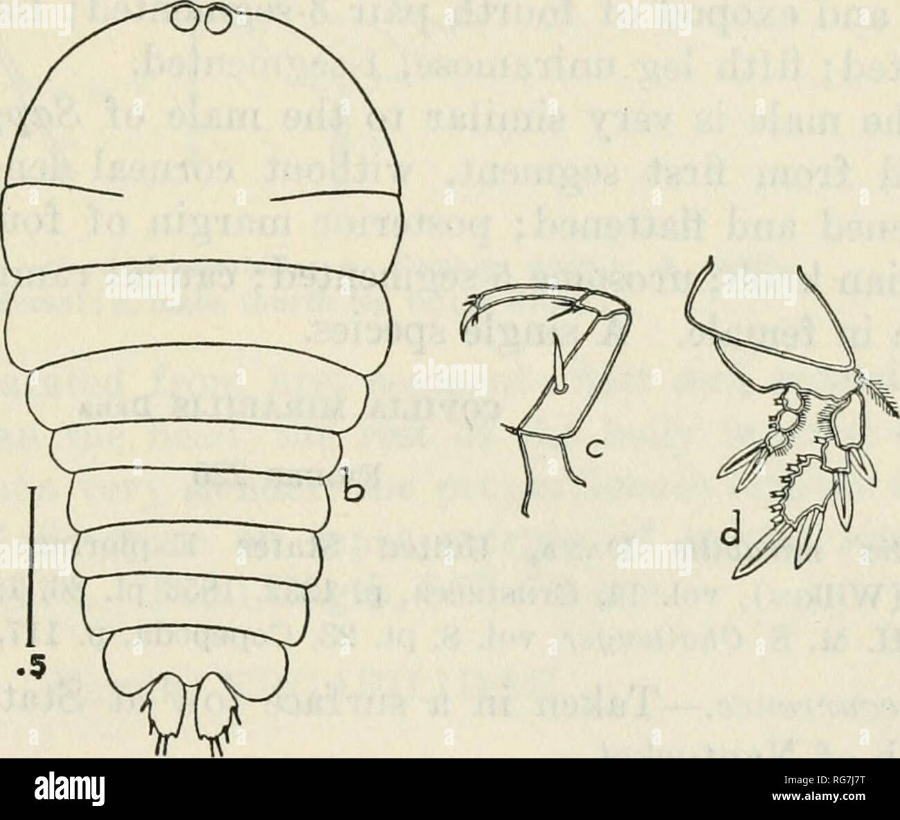. Bulletin - United States National Museum. Science. FiGORB 228 ...