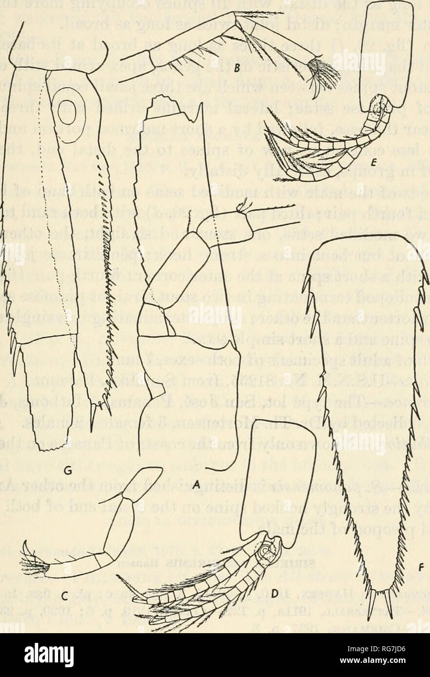 . Bulletin - United States National Museum. Science. A REVIEW OF THE ...