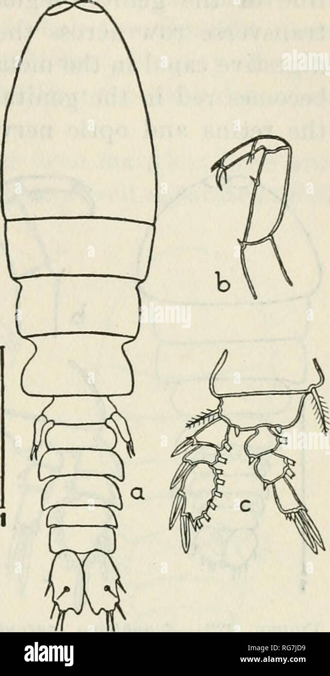 . Bulletin - United States National Museum. Science. COPEPODS OF THE ...