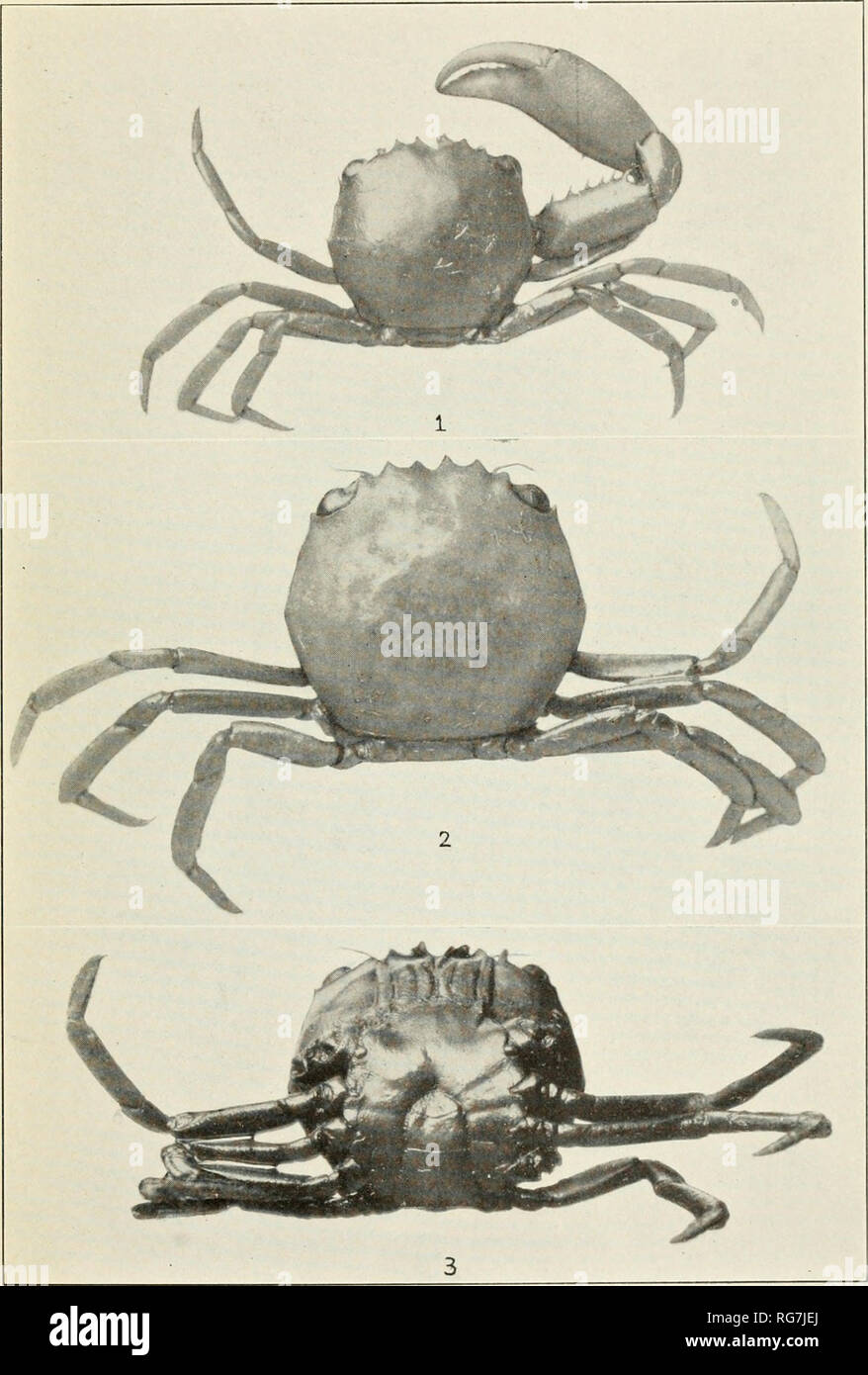 Quadrella hi-res stock photography and images - Alamy