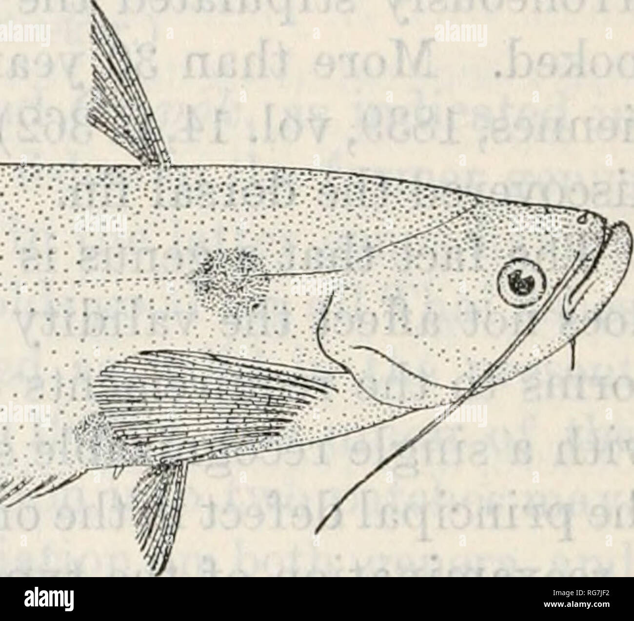 Bung science hi-res stock photography and images - Alamy