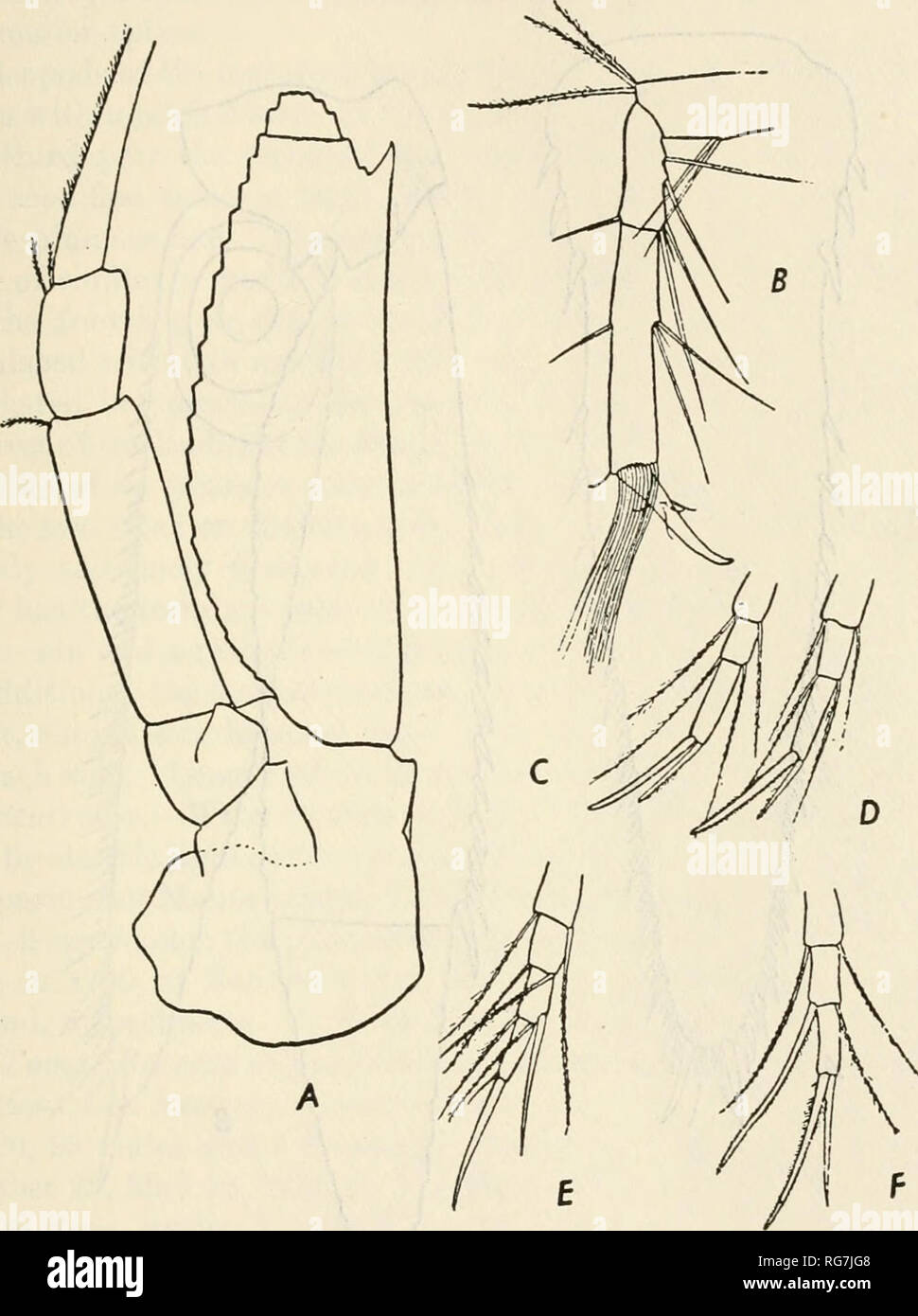 . Bulletin - United States National Museum. Science. A REVIEW OF THE ...