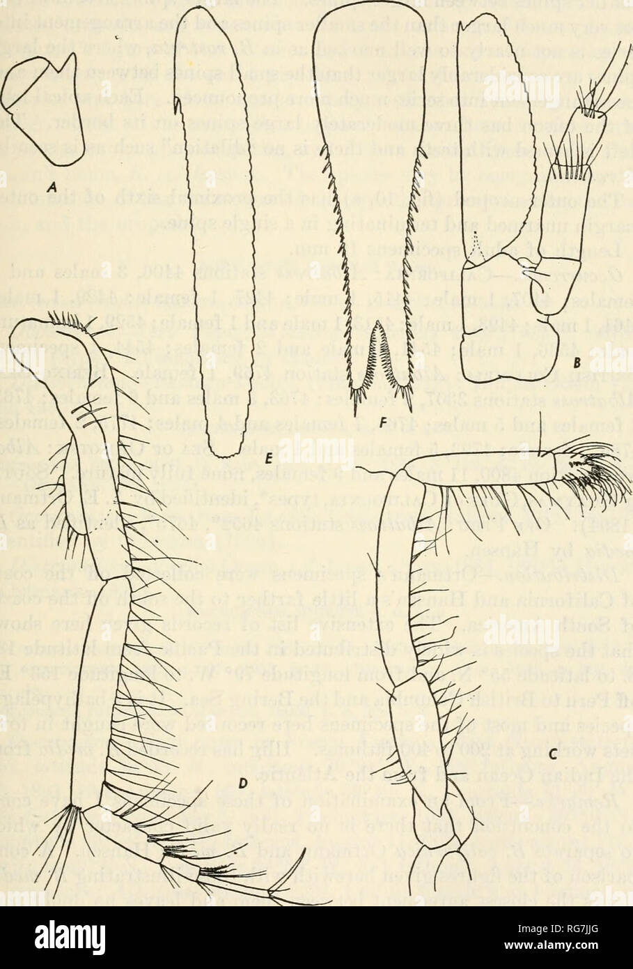 . Bulletin - United States National Museum. Science. A REVIEW OF THE ...