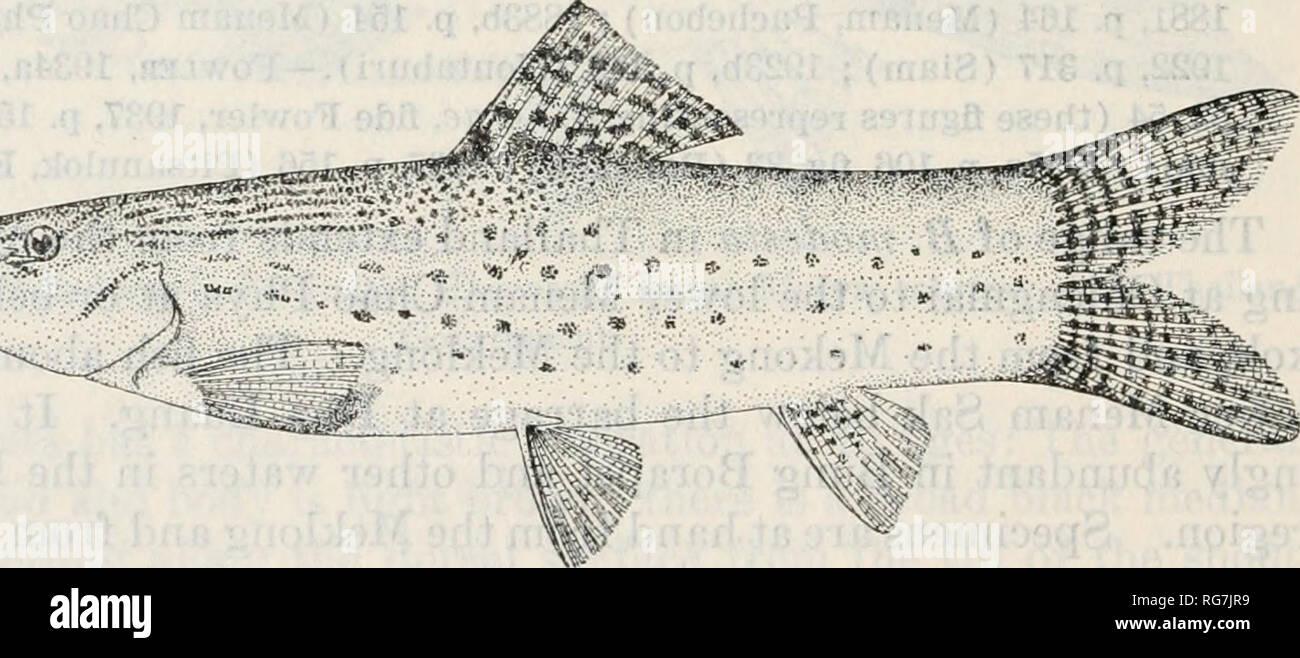 15 cm long peduncle hi-res stock photography and images - Alamy