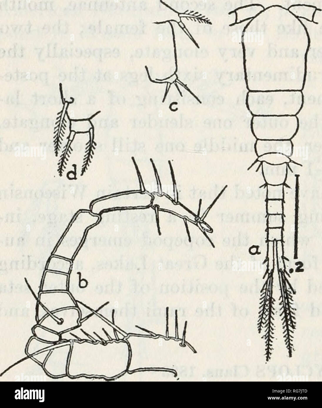 Chappaquiddick island hi-res stock photography and images - Alamy