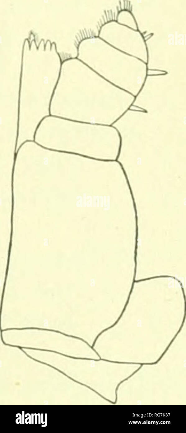 . Bulletin - United States National Museum. Science. ISOPODS OK NORTH ...