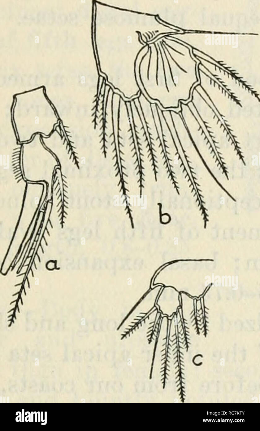 . Bulletin - United States National Museum. Science. OOPEPODS OF THE ...