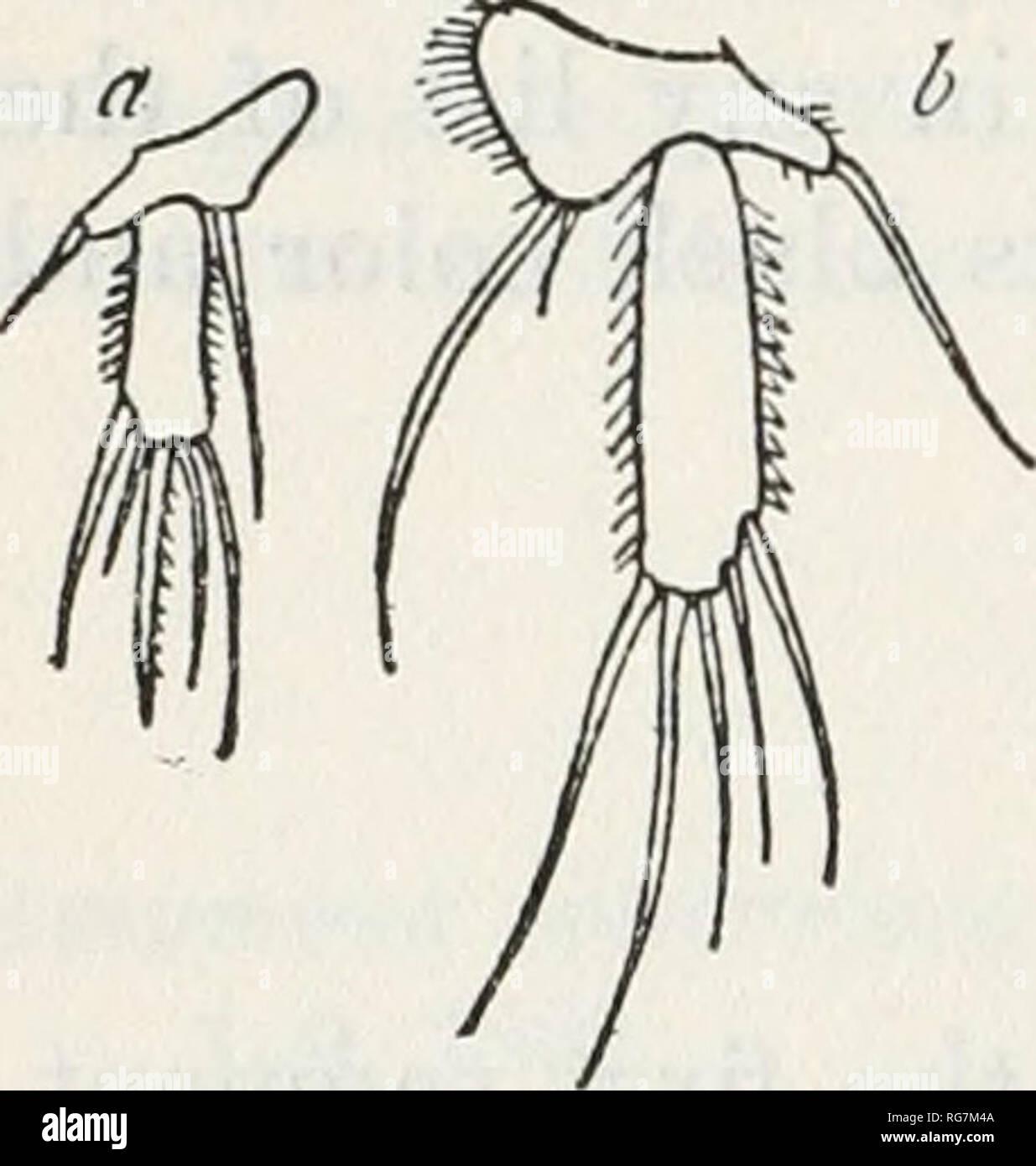 Nashaquitsa pond hi-res stock photography and images - Alamy