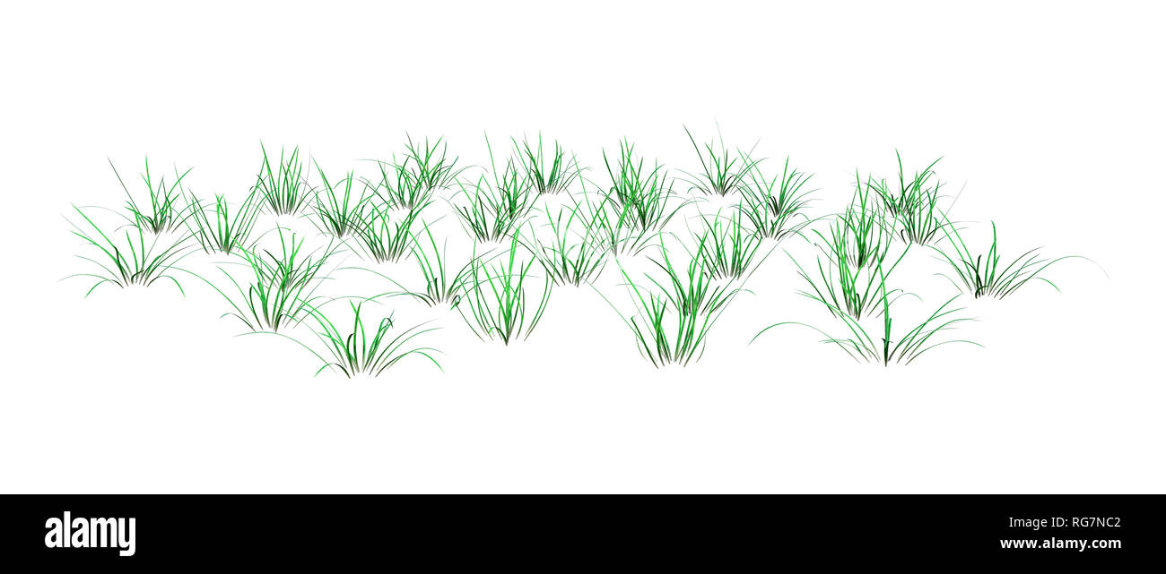 3D rendering of green grass isolated on white background Stock Photo ...