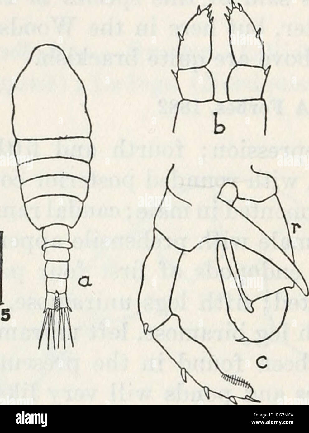 Naushon island hi-res stock photography and images - Alamy