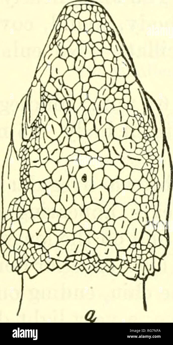 Faint ridges hi-res stock photography and images - Alamy
