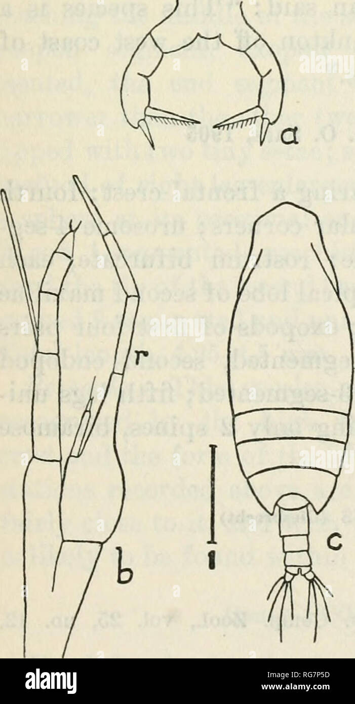 . Bulletin - United States National Museum. Science. Seo"nient figure ...