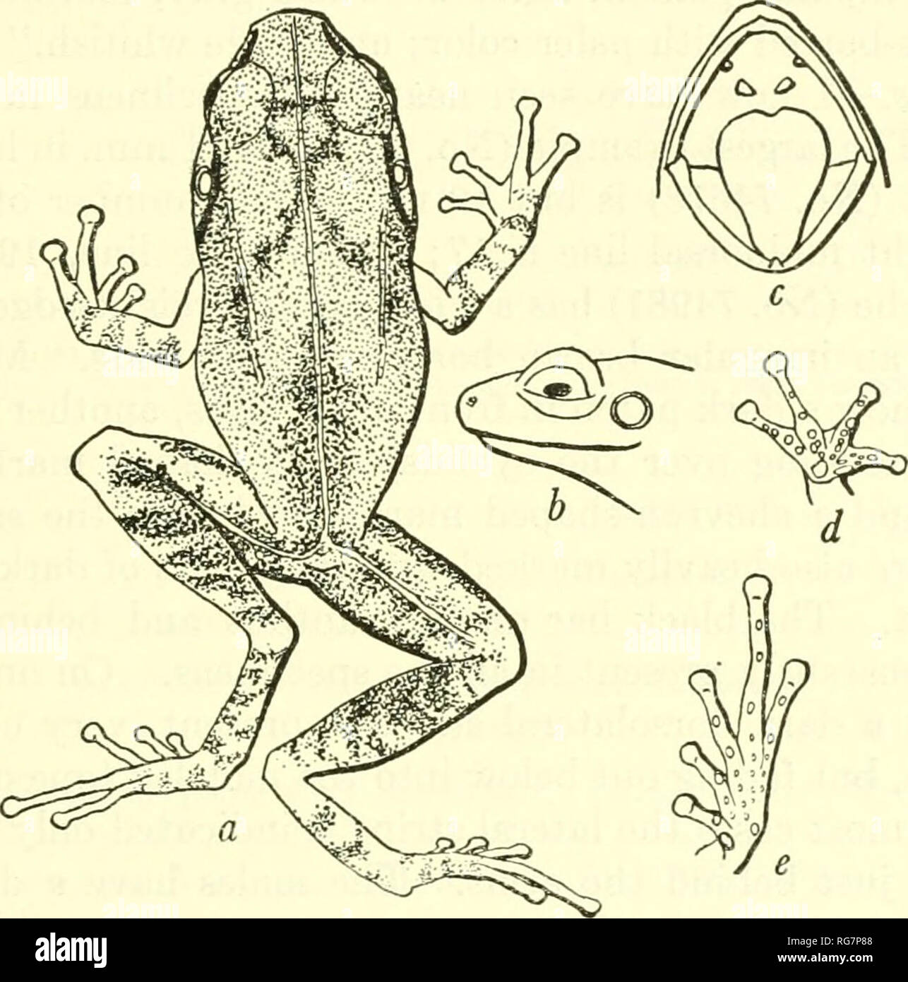 . Bulletin - United States National Museum. Science. THE HERPETOLOGY OF ...