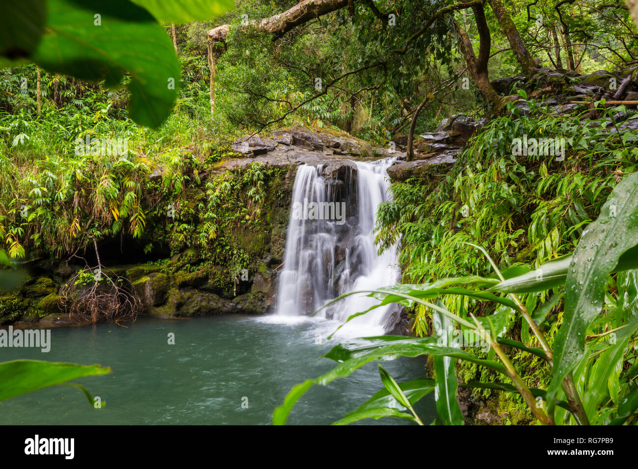 Spring water maui hi-res stock photography and images - Alamy