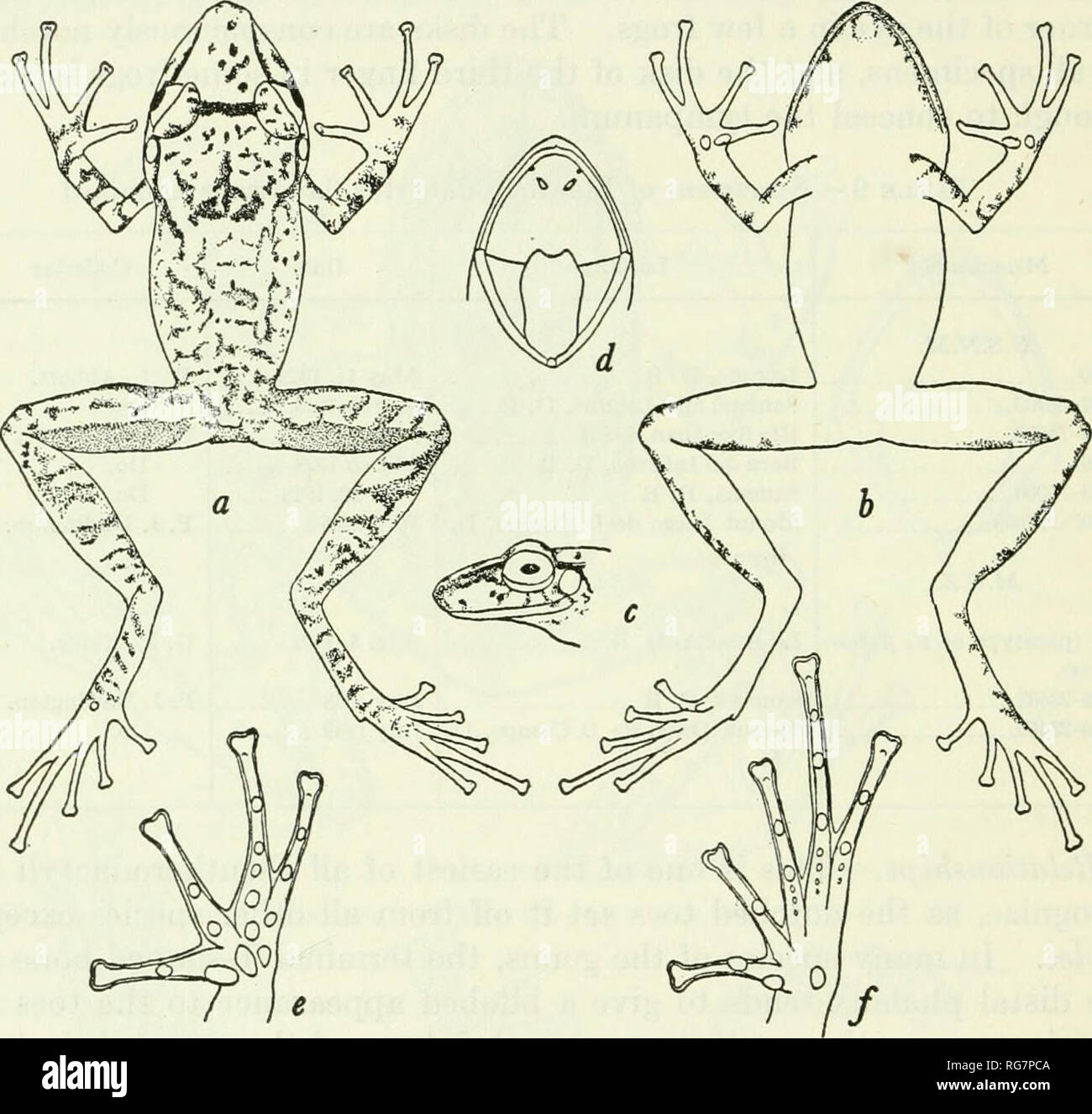 Citadel haiti hi-res stock photography and images - Alamy