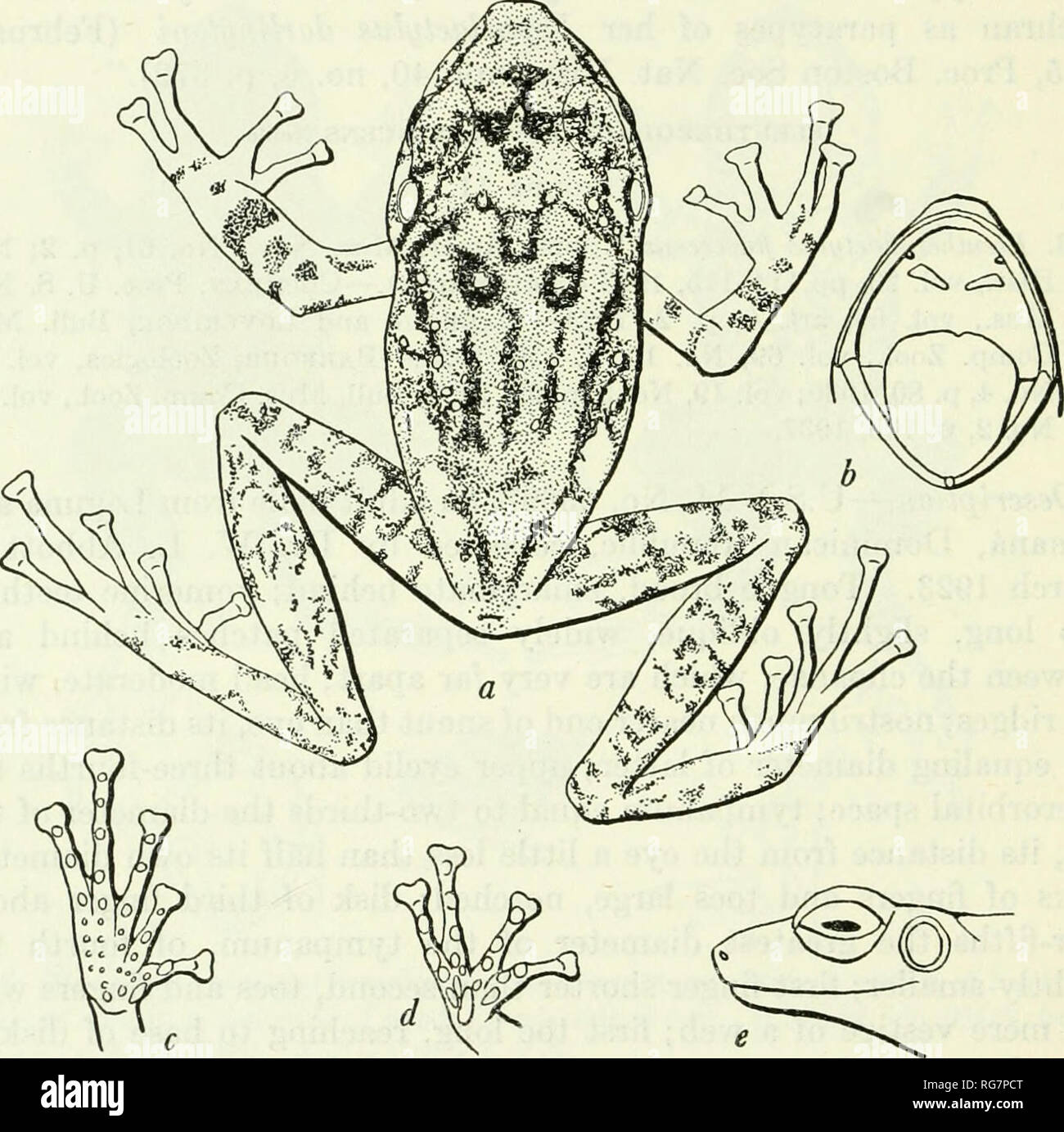 . Bulletin - United States National Museum. Science. 38 BULLETIN 17 7 ...