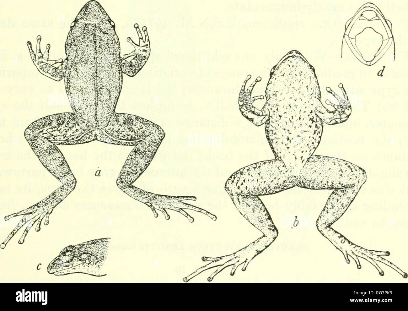. Bulletin - United States National Museum. Science. THE HERPETOLOGY OF ...