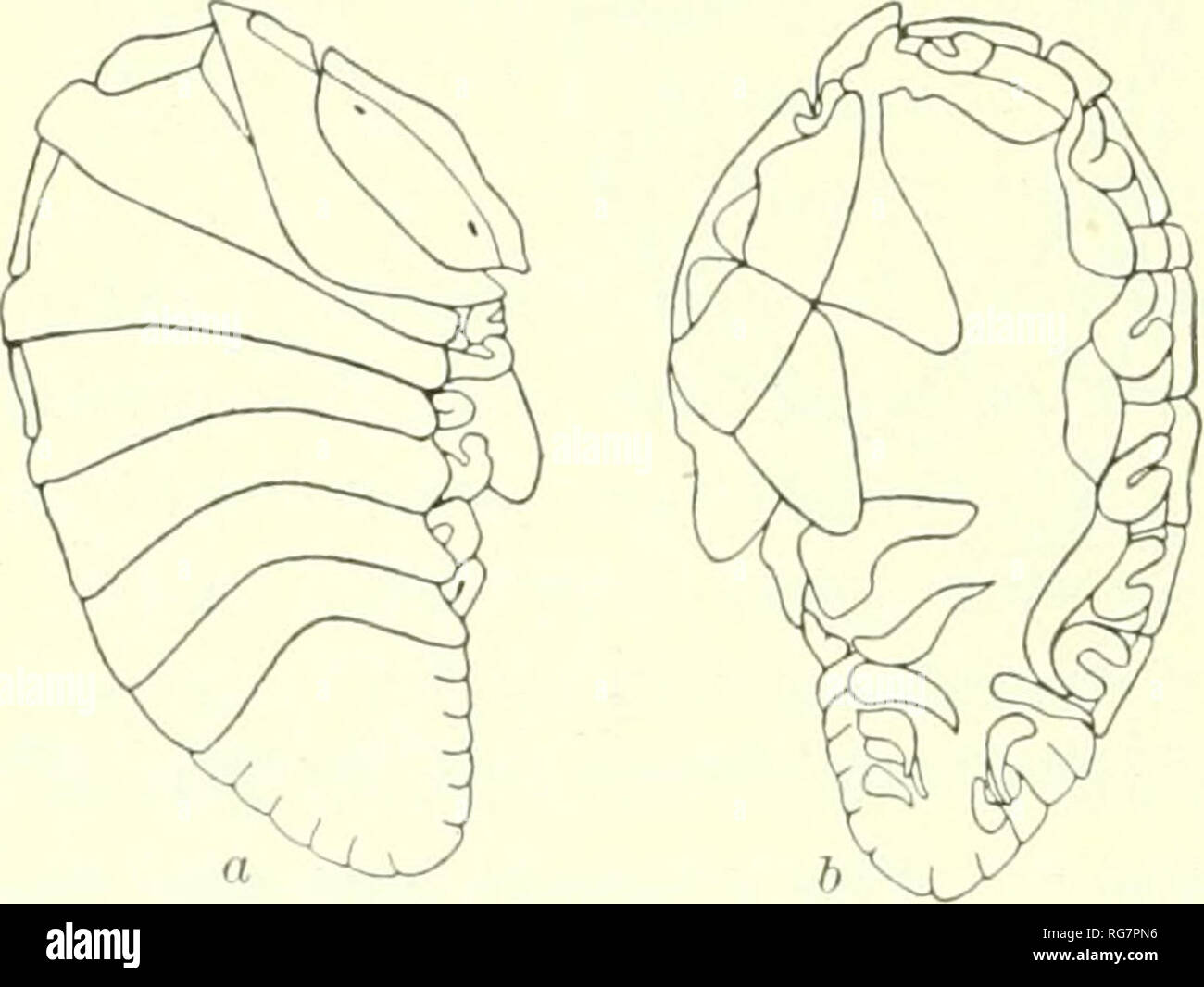 Kingsle hi-res stock photography and images - Alamy