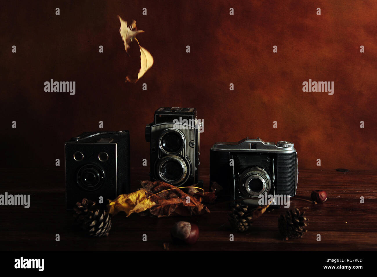 Three vintage cameras surrounded by faded falling leaves. Dark, low key ...