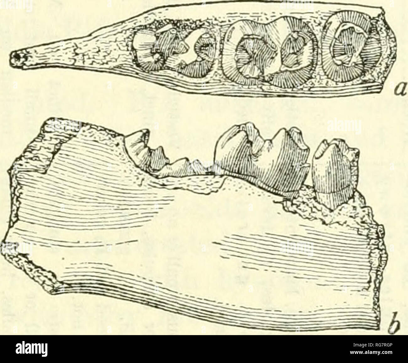 Wider field of view hi-res stock photography and images - Alamy