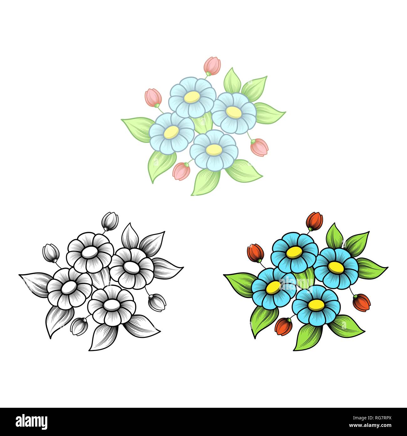 Set of four daisy flower bouquets different colors isolated on white ...