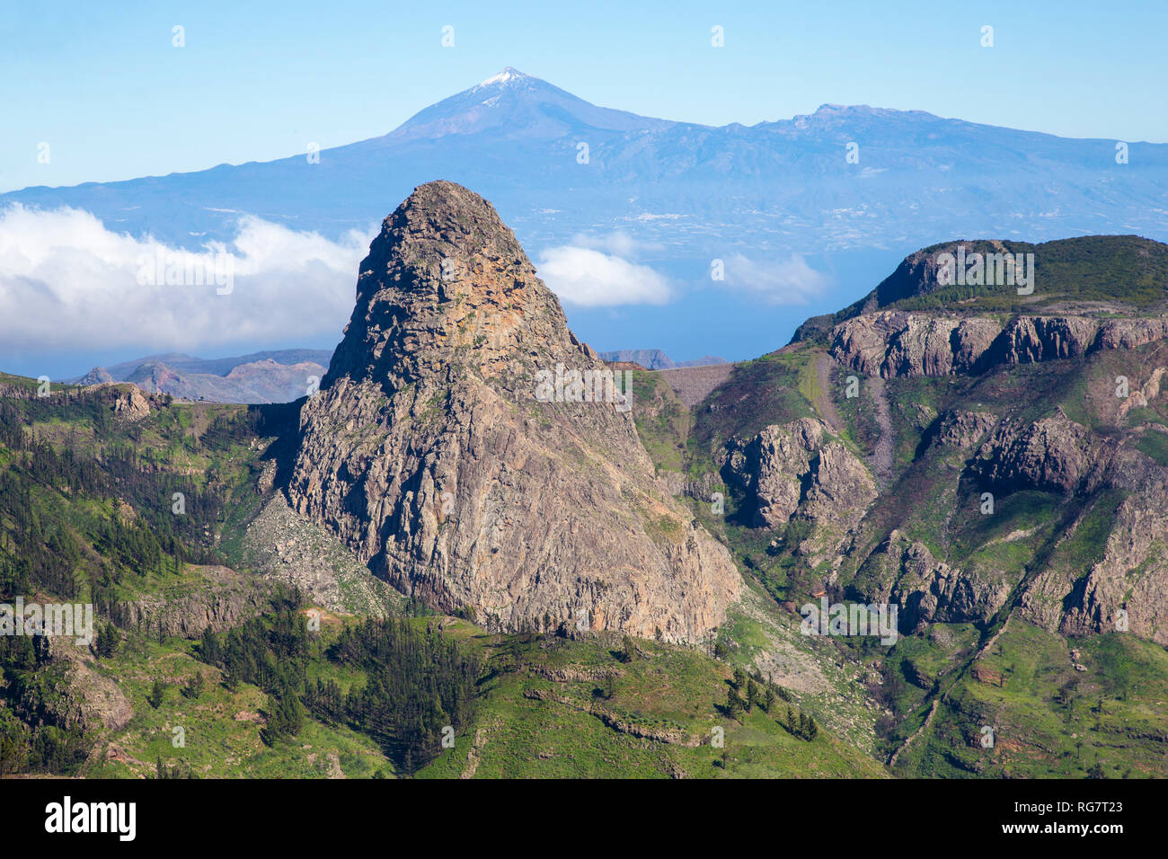 Garajonay national park hi-res stock photography and images - Alamy