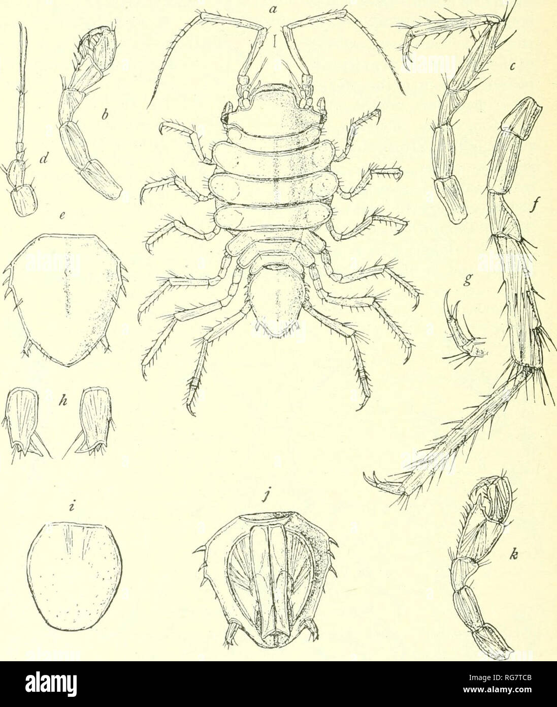 Truncated Corner High Resolution Stock Photography and Images - Alamy