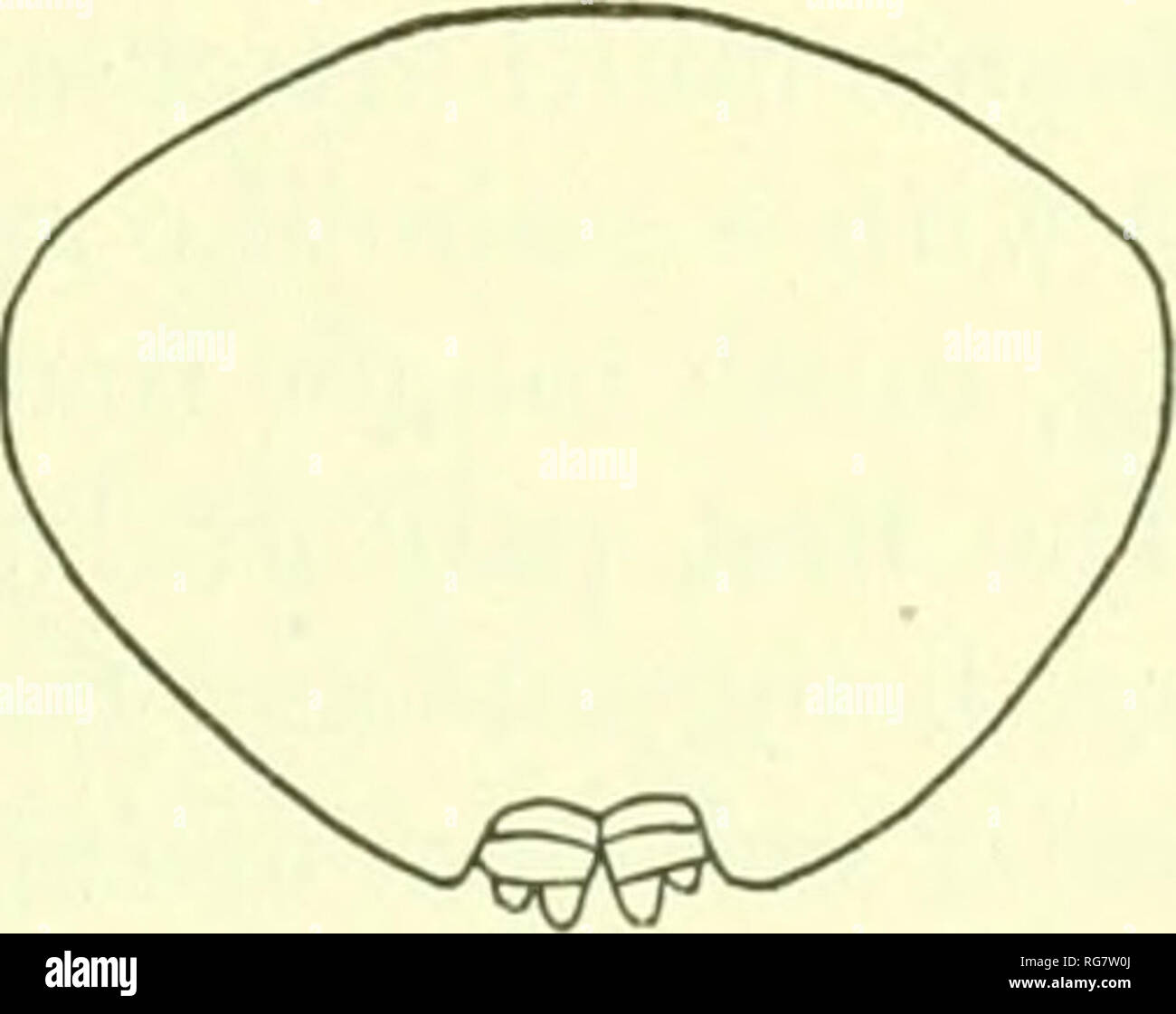 Lol angles hi-res stock photography and images - Alamy