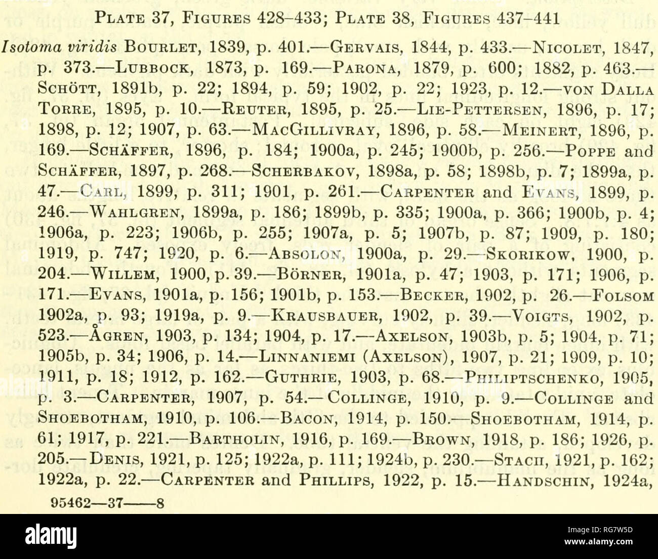 Postantennal setae hi-res stock photography and images - Alamy