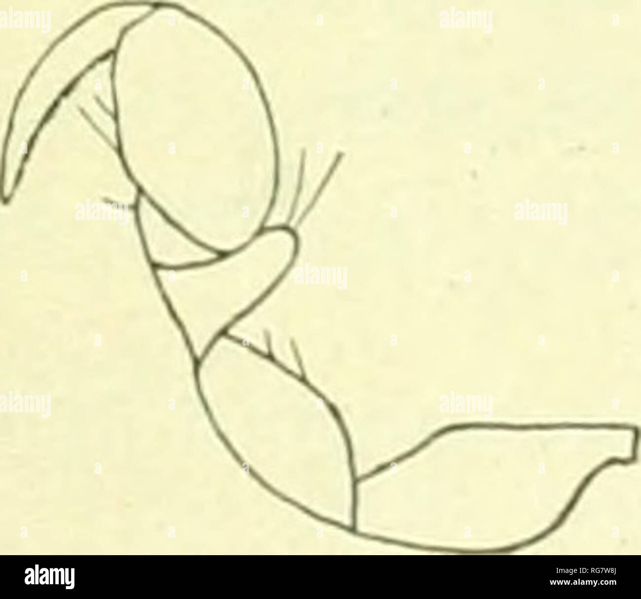 T a posteri hi-res stock photography and images - Alamy