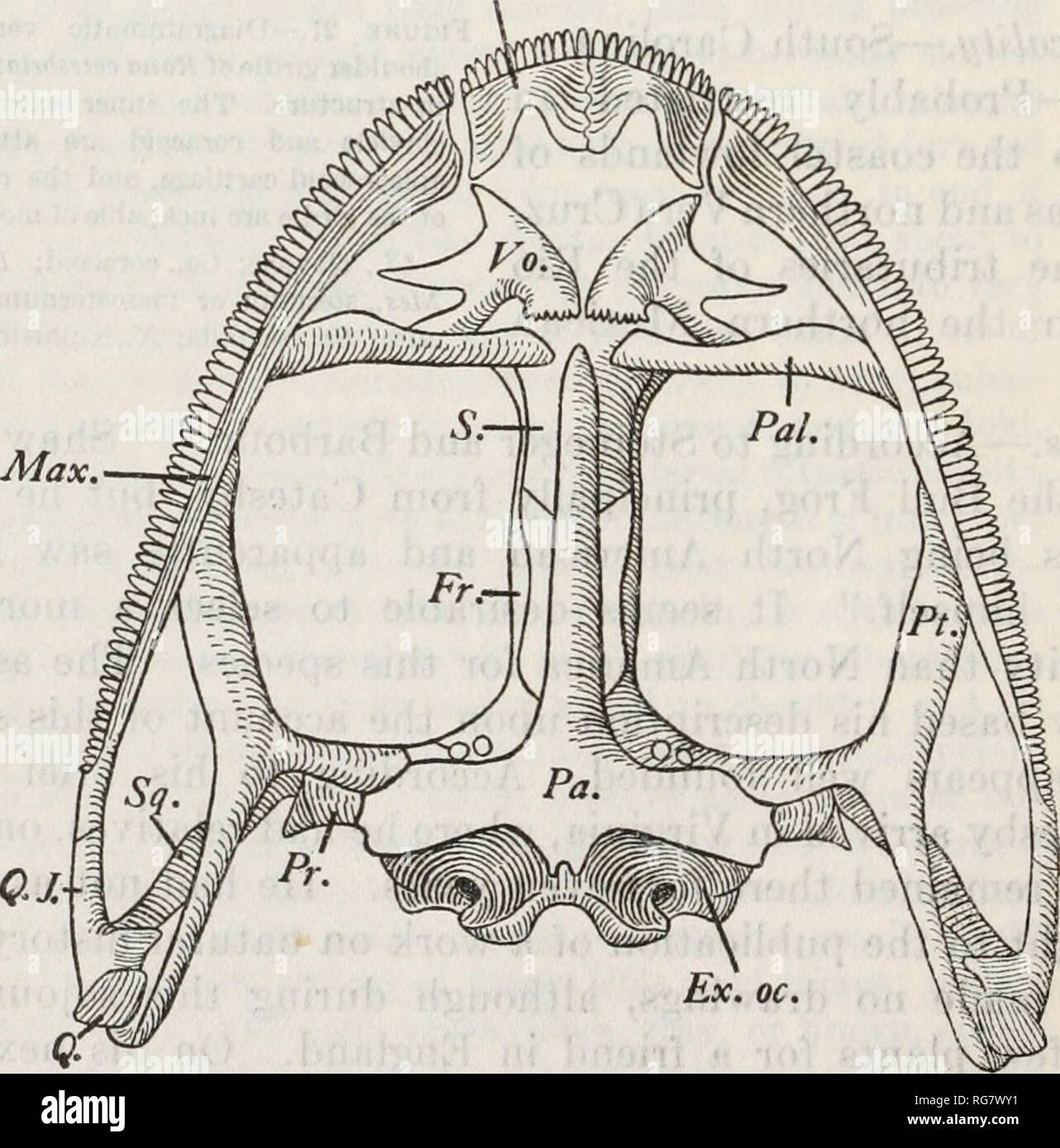 . Bulletin - United States National Museum. Science. Q.J.-1 Figure 22 ...