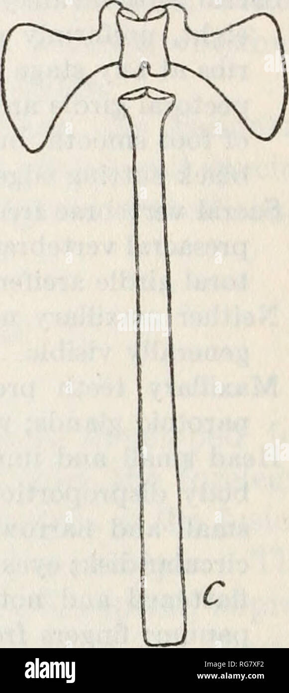 . Bulletin - United States National Museum. Science. Figure 1.—Diagrams ...