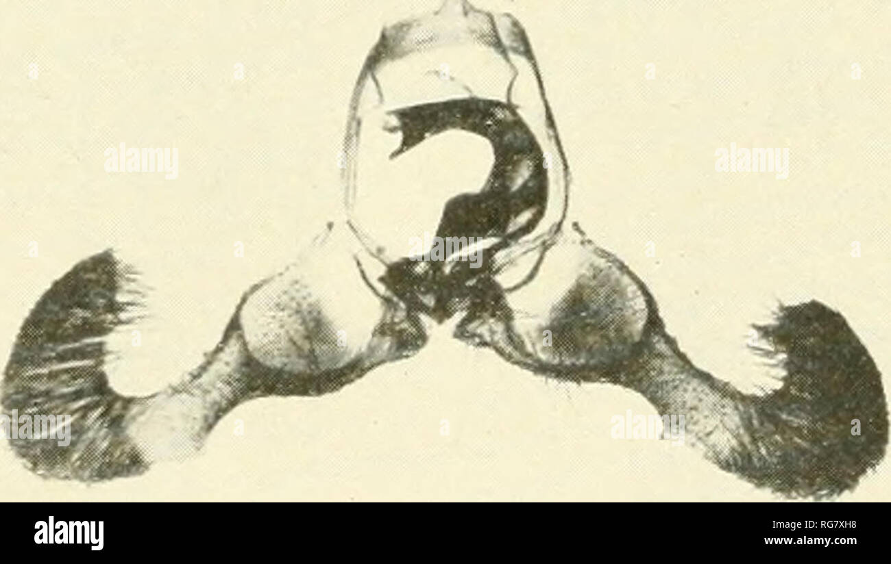 . Bulletin - United States National Museum. Science. 27S £>r//c7r7Cf ...