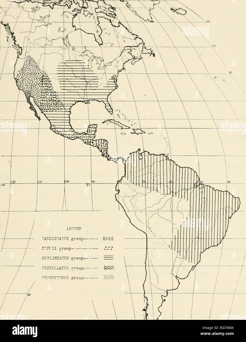 . Bulletin - United States National Museum. Science. TEIID LIZARDS OF ...