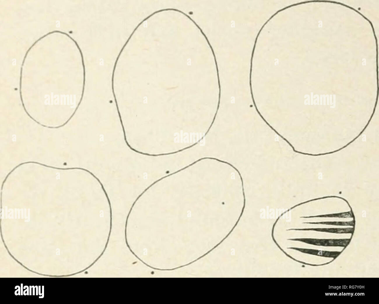 Width 193 mm hi-res stock photography and images - Alamy