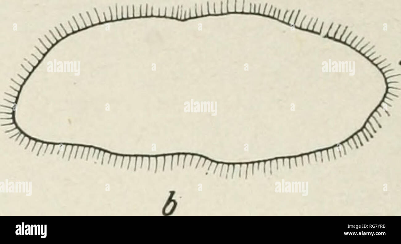 Width 144 mm hi-res stock photography and images - Alamy