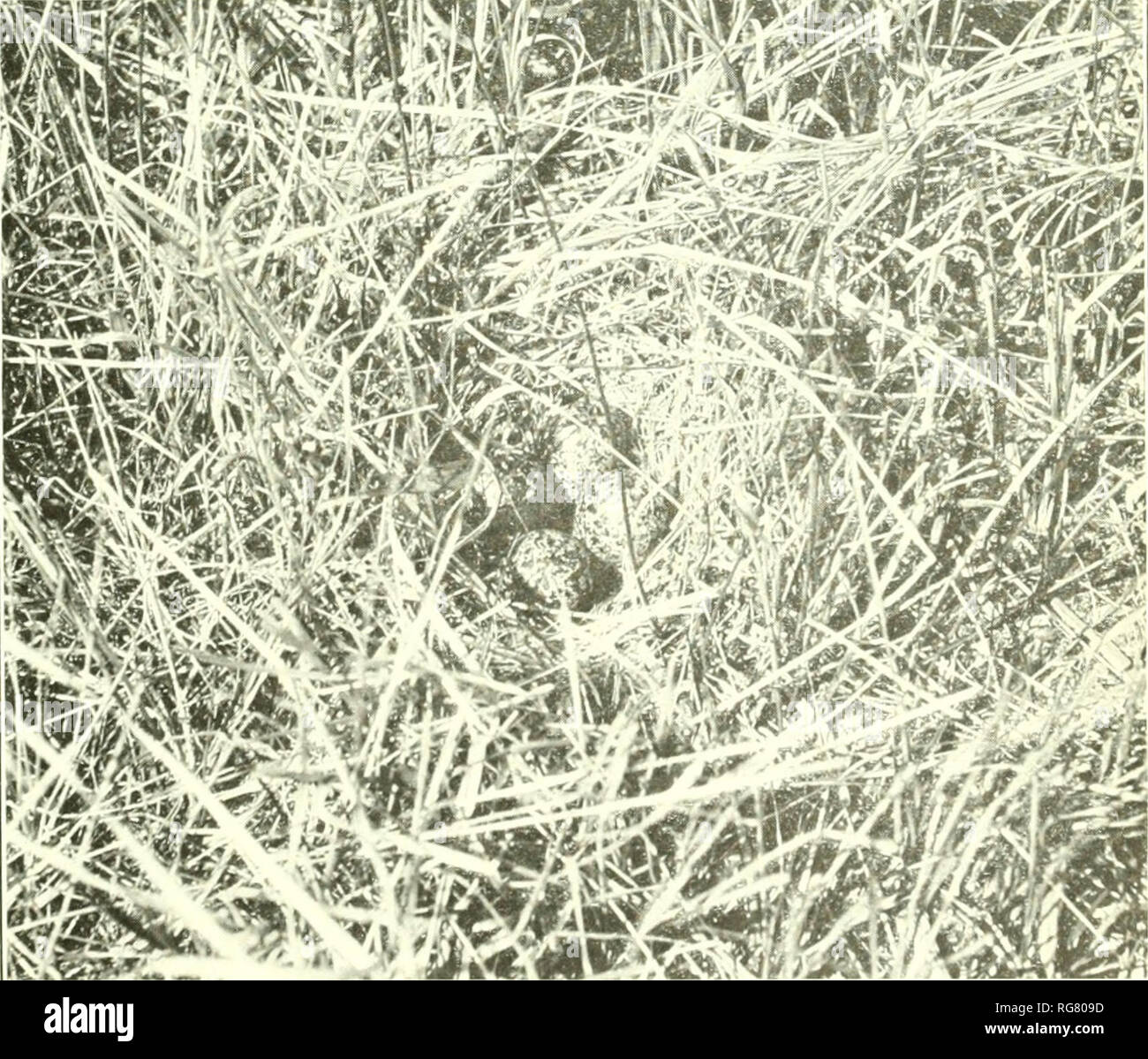 Faoe hi-res stock photography and images - Alamy