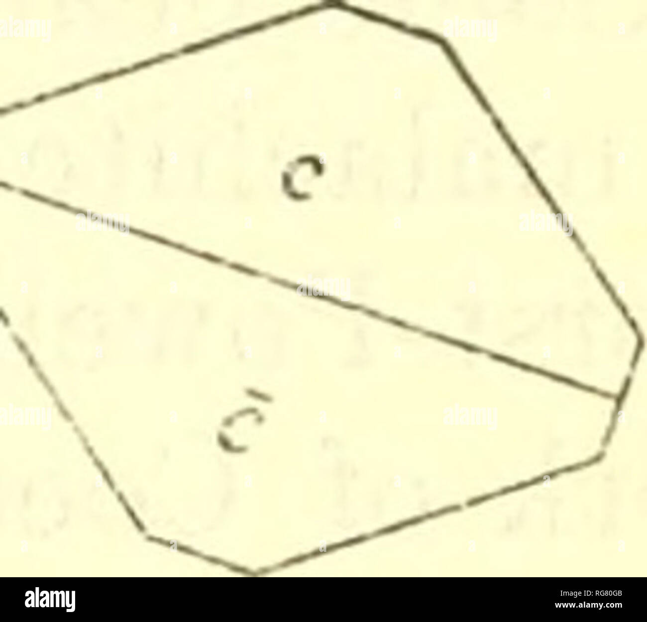 . Bulletin - United States National Museum. Science. THE MINERALS OF ...