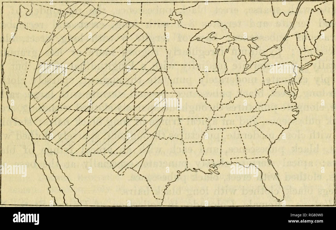 . Bulletin - United States National Museum. Science. INVESTIGATIONS ON ...