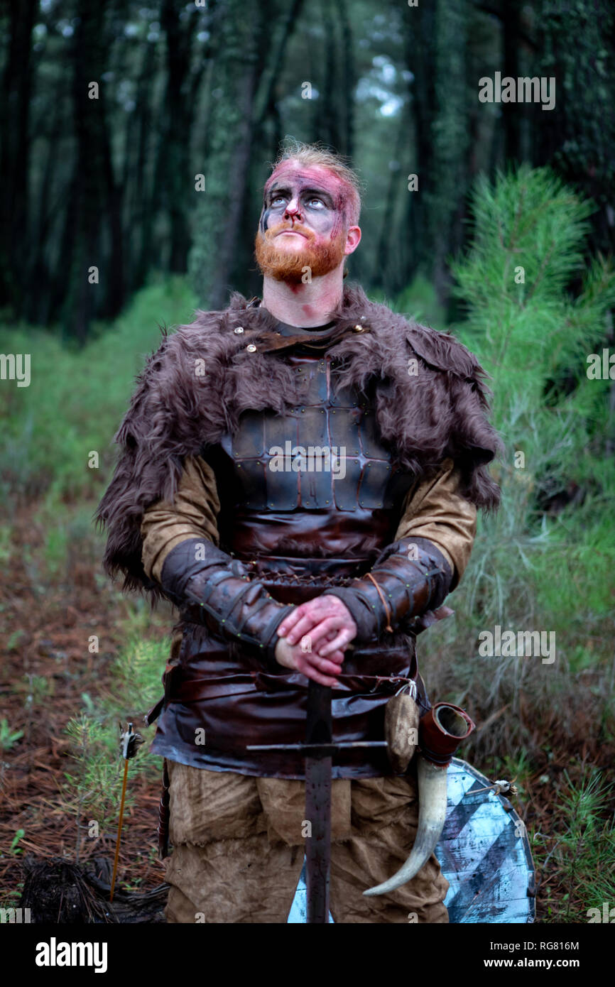 Bloody real viking with his sword in the countryside Stock Photo - Alamy