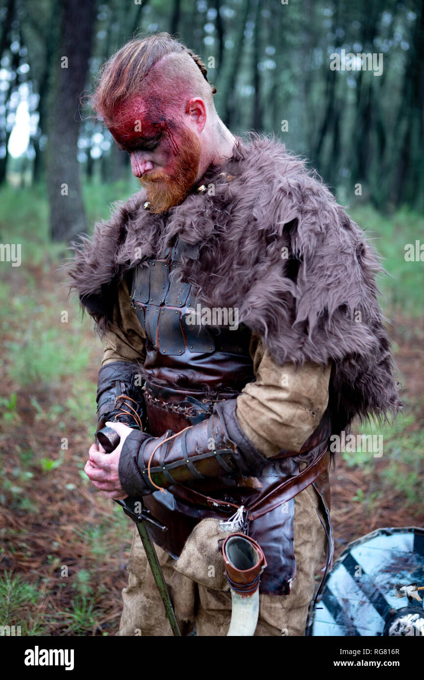 Bloody real viking with his sword in the countryside Stock Photo - Alamy