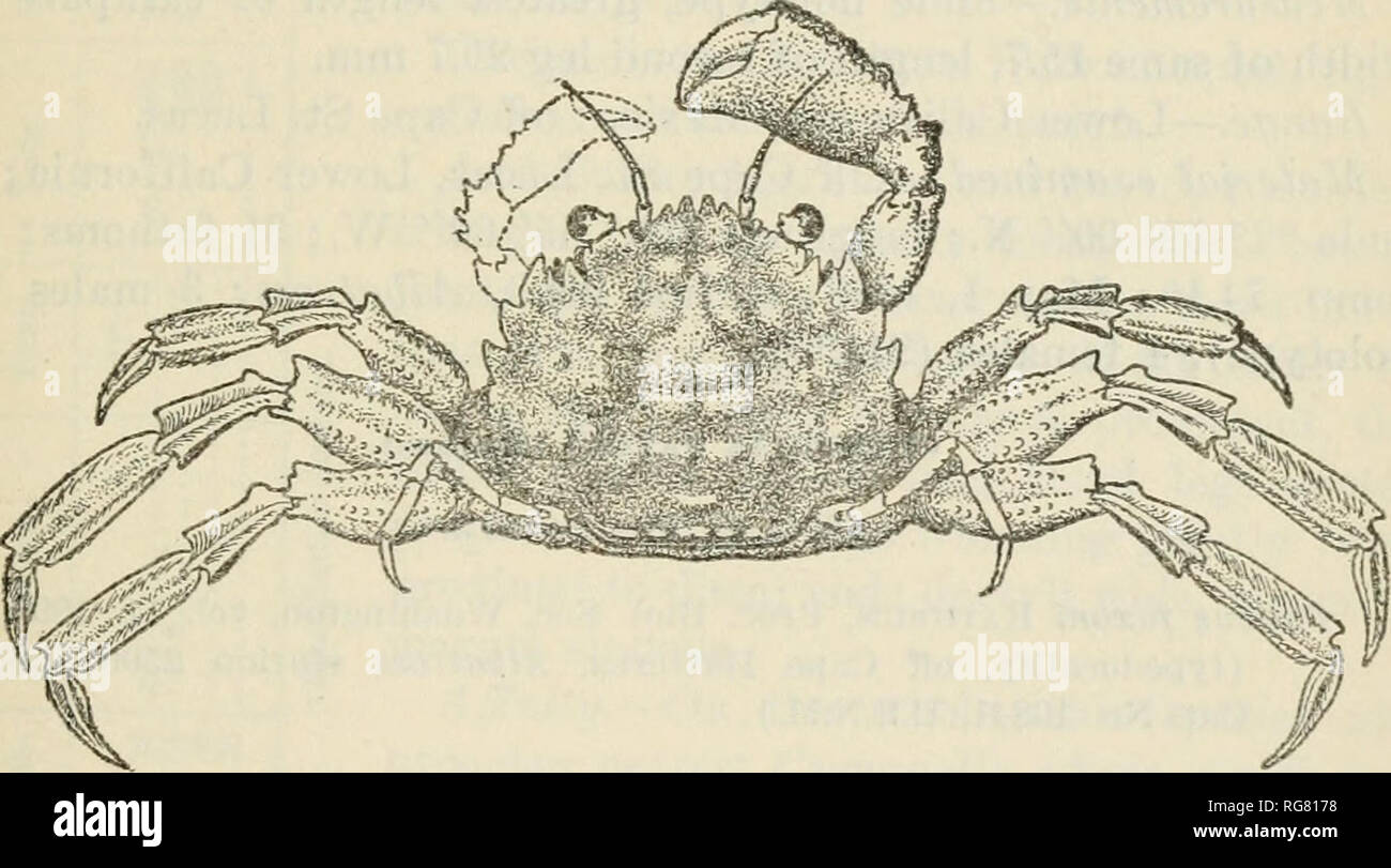 . Bulletin - United States National Museum. Science. THE GBAPSOID CBABS ...