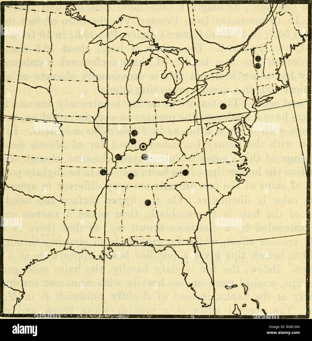 . Bulletin - United States National Museum. Science. AMERICAN BATS OF ...