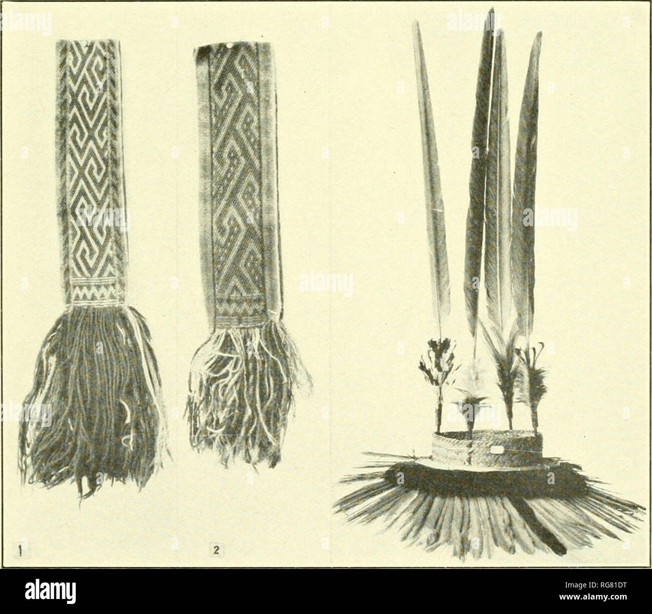 Featherwork hi-res stock photography and images - Alamy