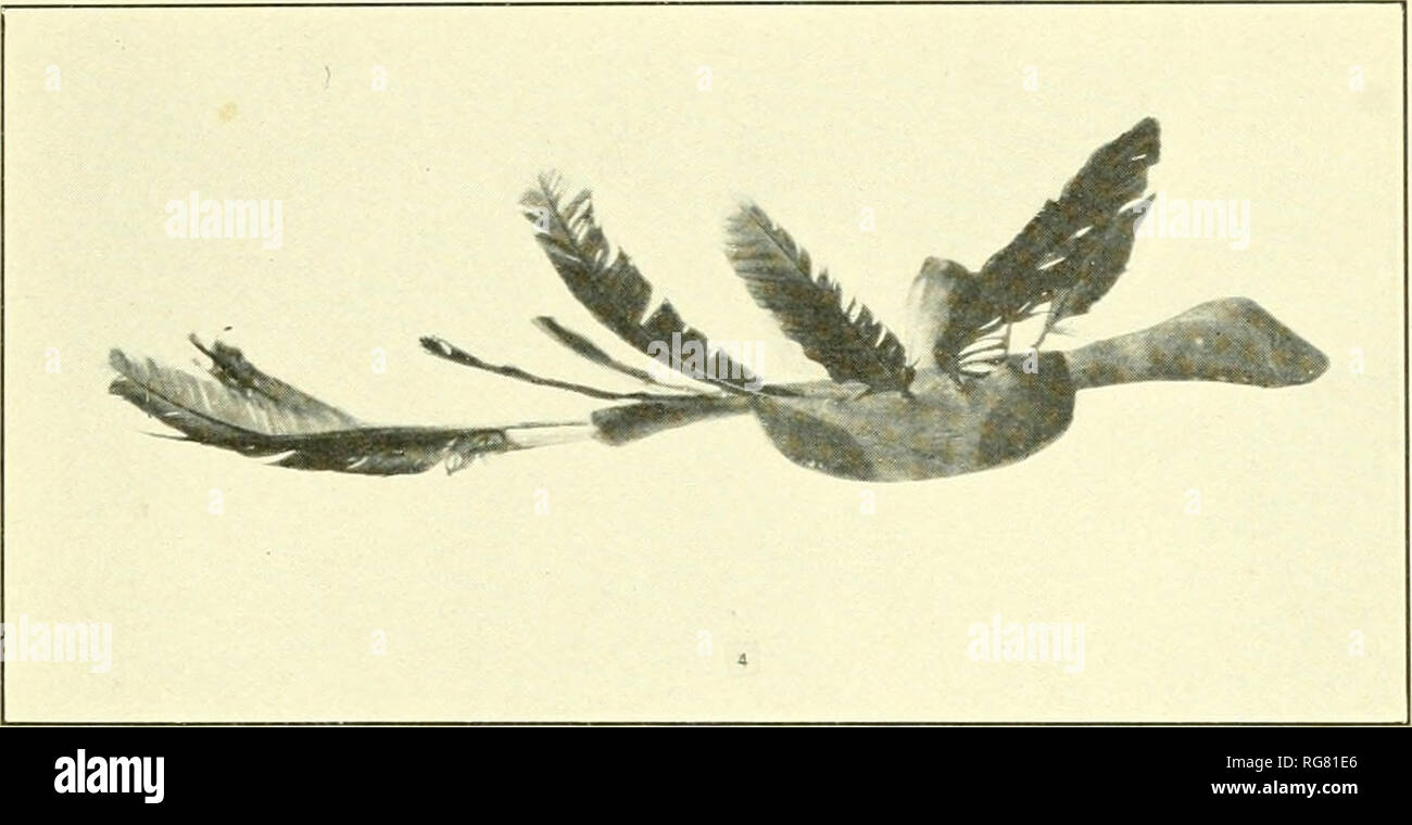 Featherwork hi-res stock photography and images - Alamy