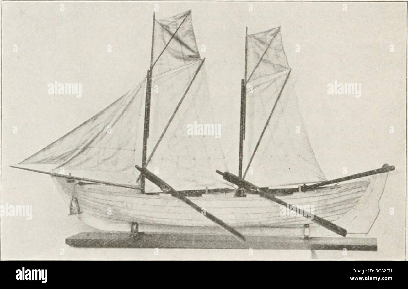 . Bulletin - United States National Museum. Science. 242 BULLETIX 121 ...