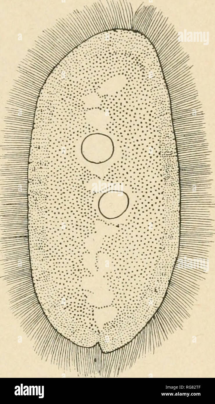 Width 67 mm hi-res stock photography and images - Alamy